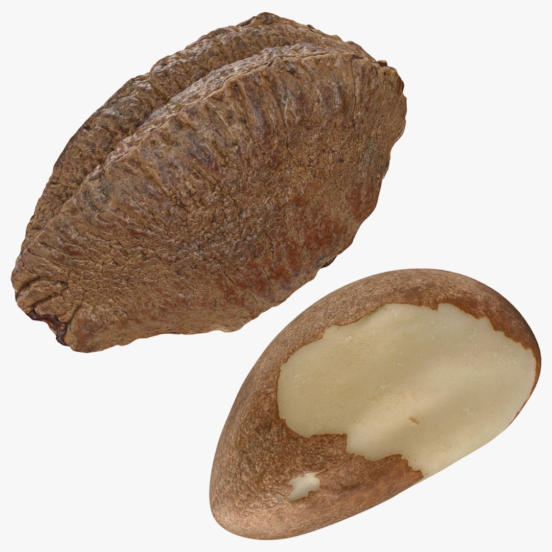 3D Brazil Nut And Brazil Nut Shell Collection - TurboSquid 2310936