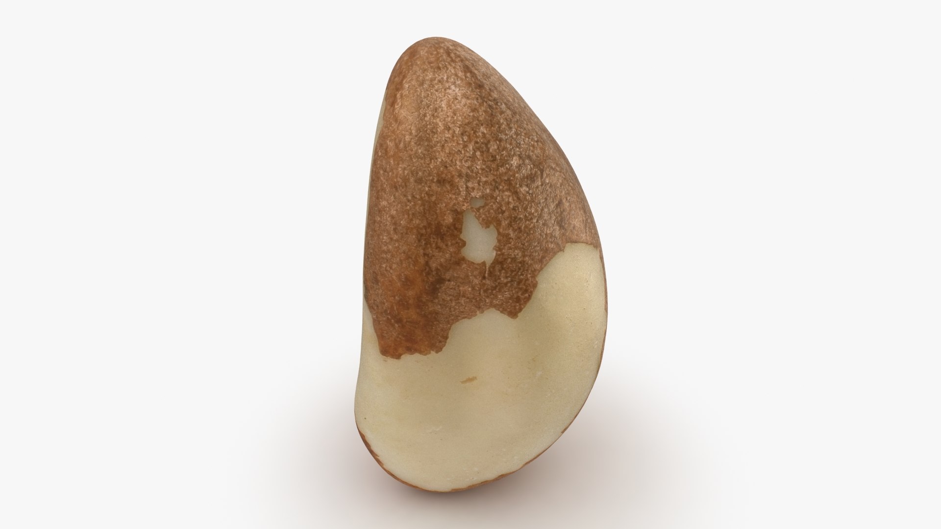 3D Brazil Nut And Brazil Nut Shell Collection - TurboSquid 2310936