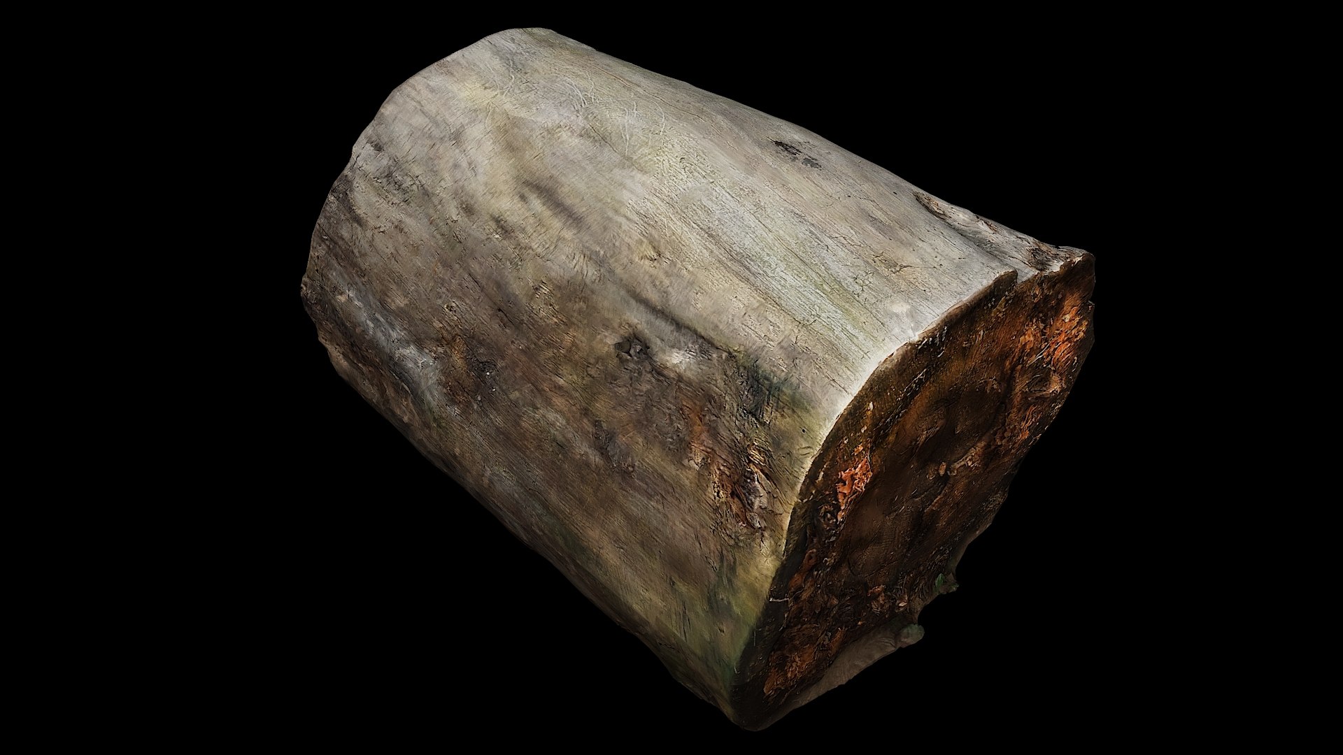 Tree Stump 27 3D - TurboSquid 2063328