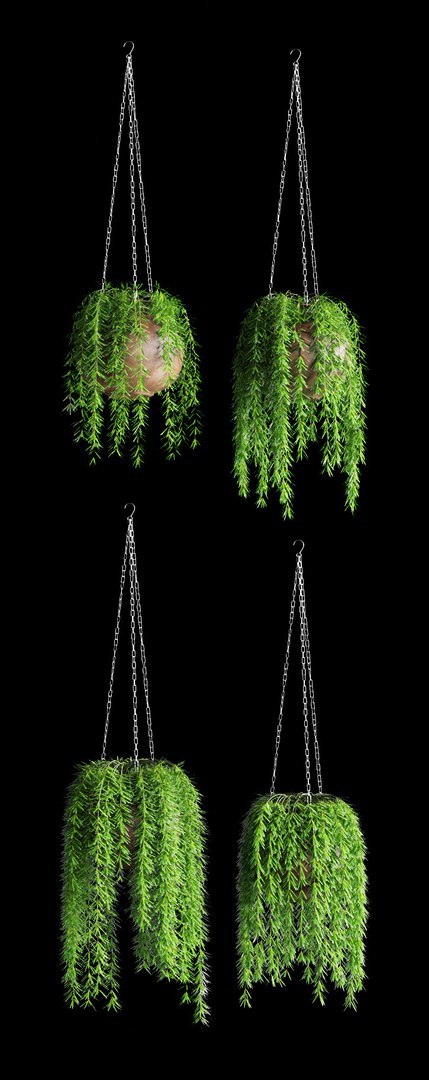Hanging Plants Pots Chain 3D - TurboSquid 1252191