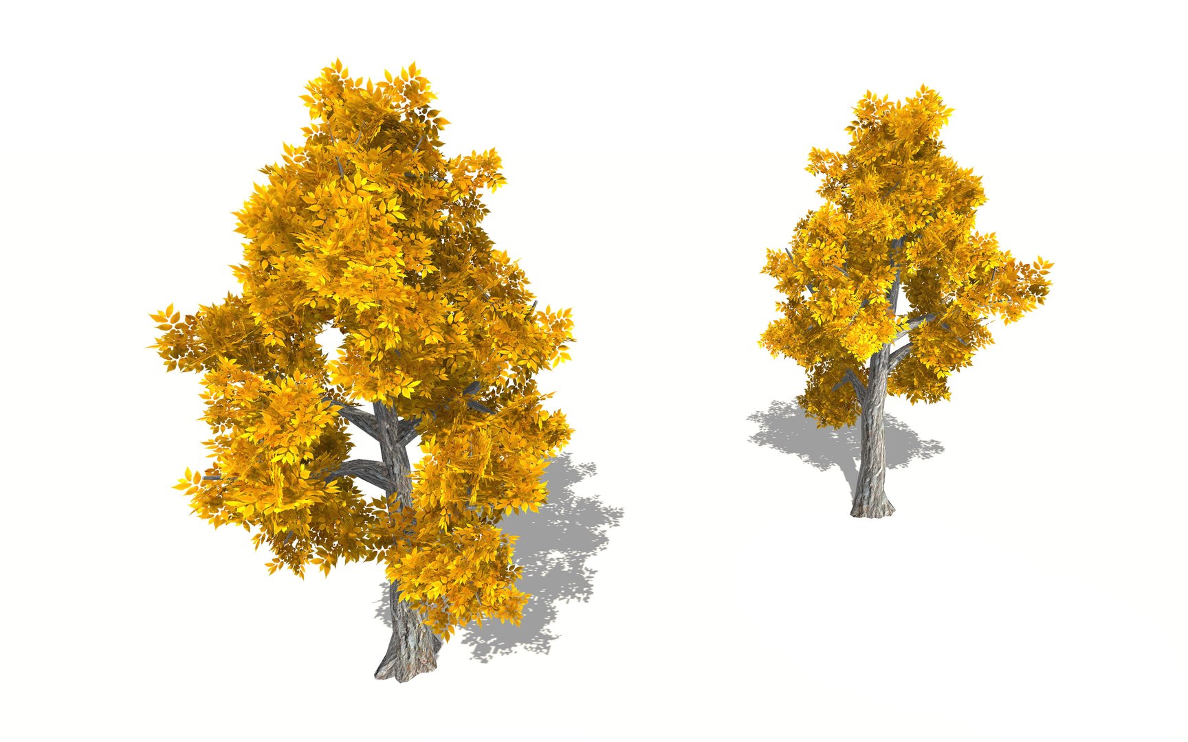 3D Maple Tree - TurboSquid 1516258