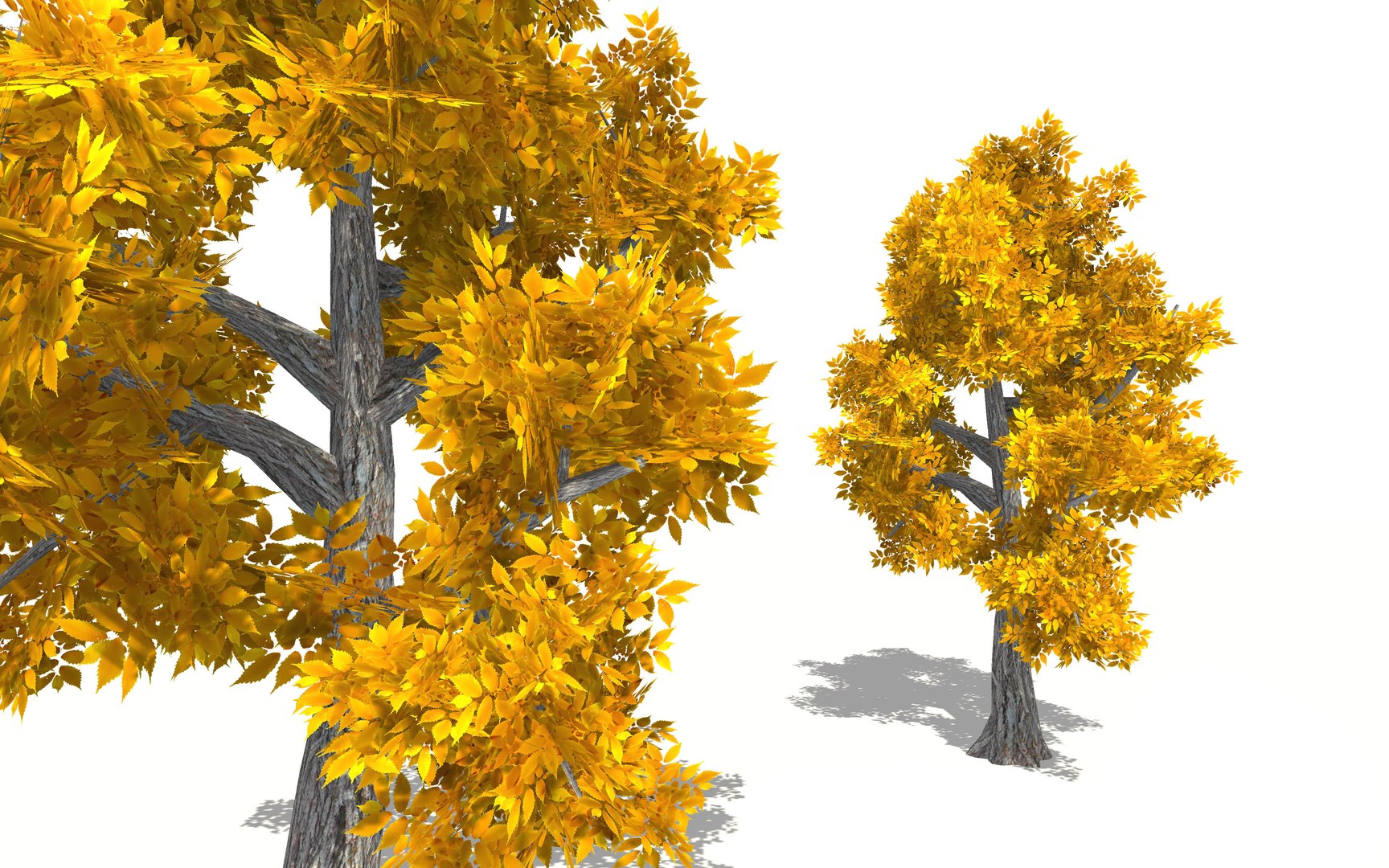 3D Maple Tree - TurboSquid 1516258