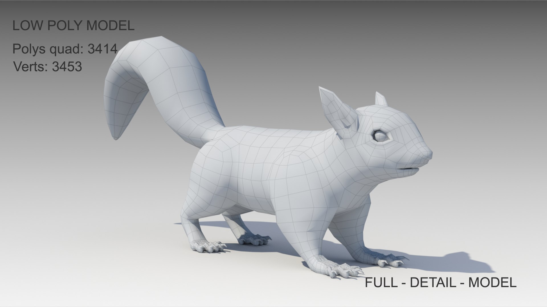 3D squirrel model - TurboSquid 1229896