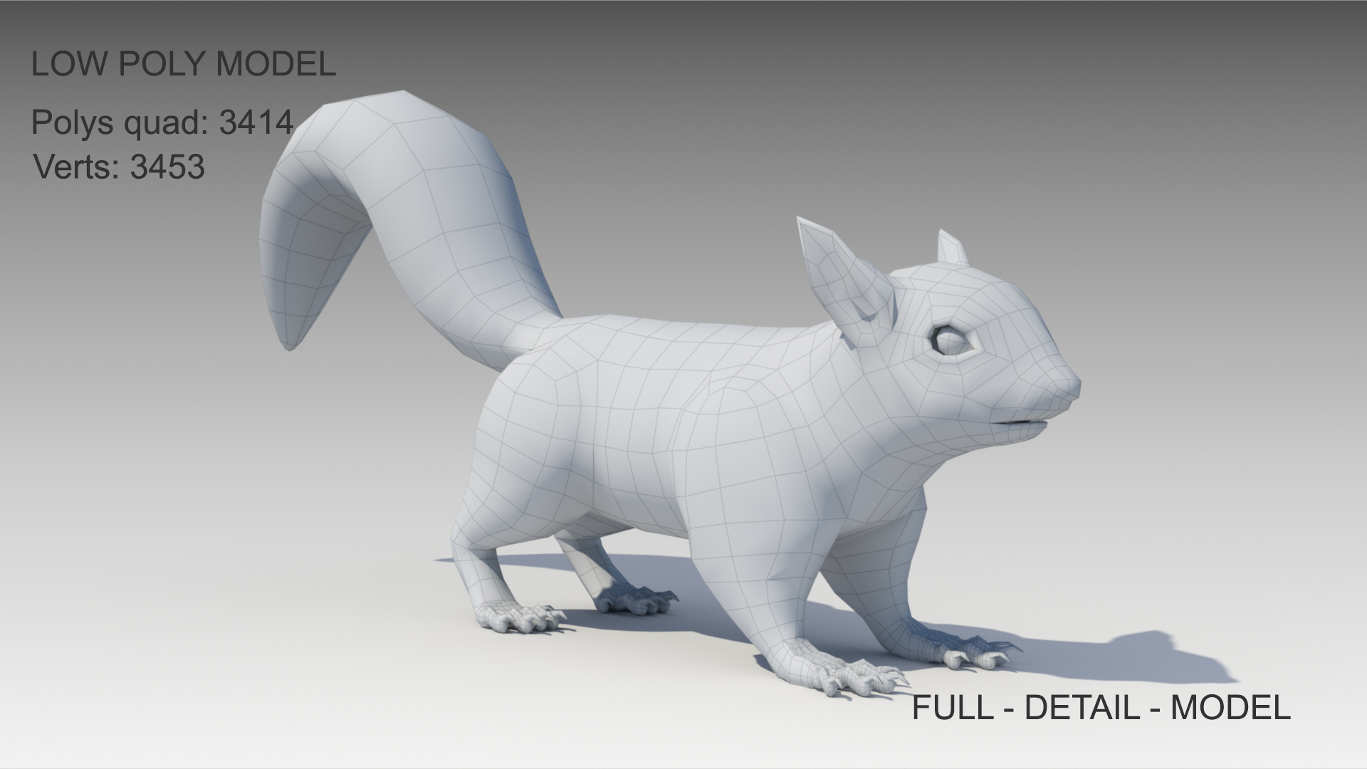 3D squirrel model - TurboSquid 1229896