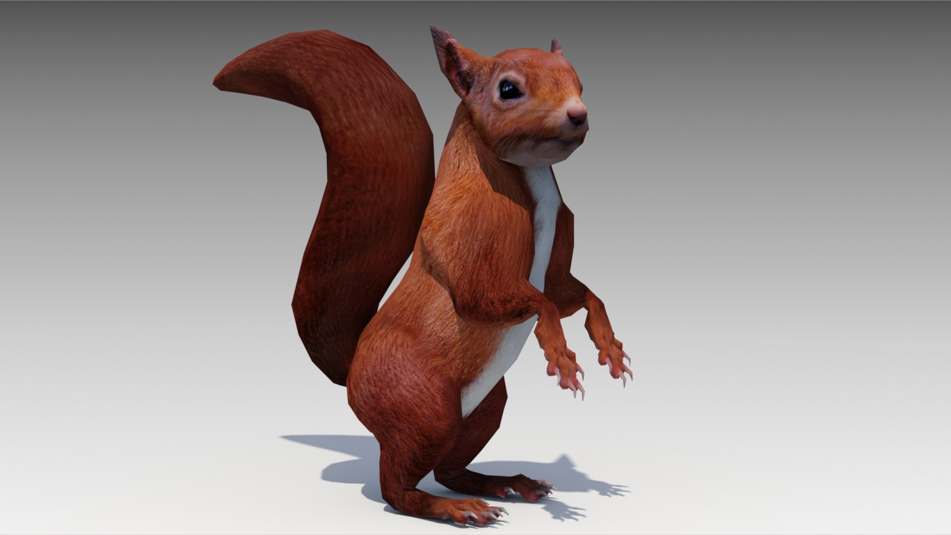3D squirrel model - TurboSquid 1229896