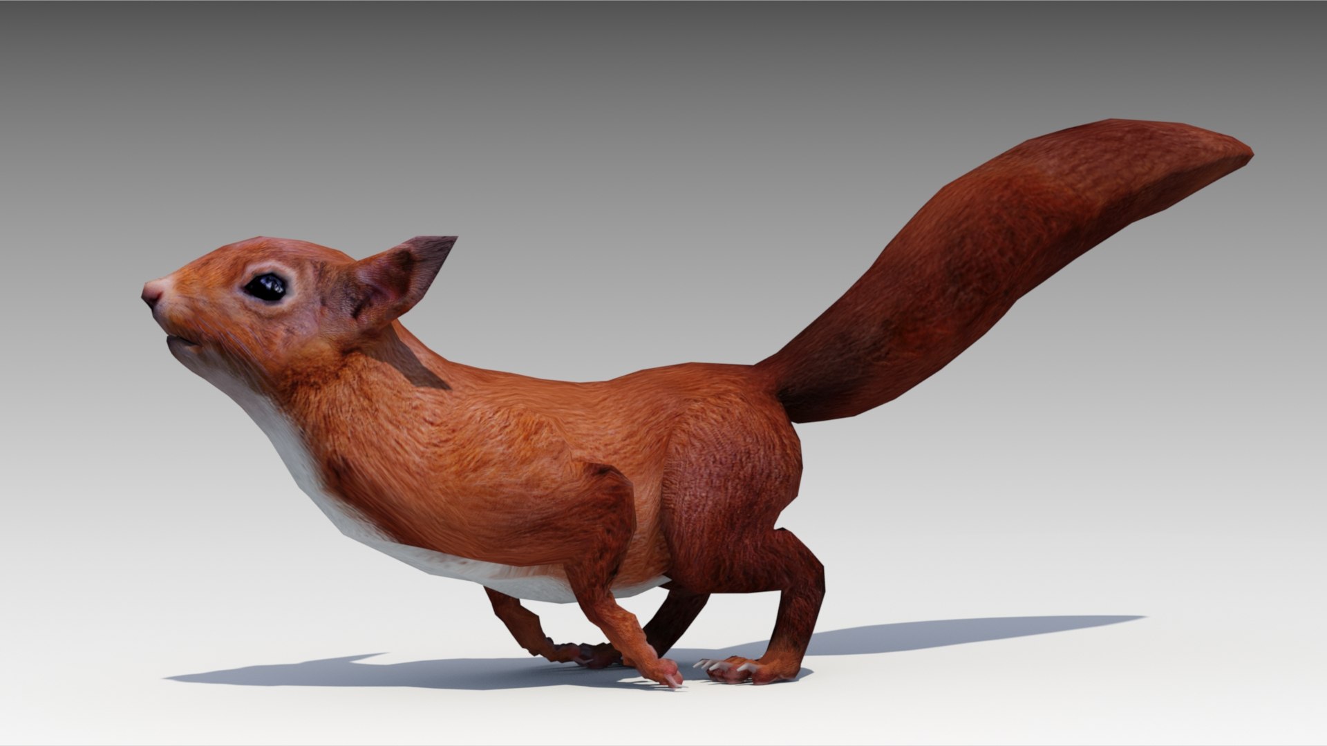 3D squirrel model - TurboSquid 1229896