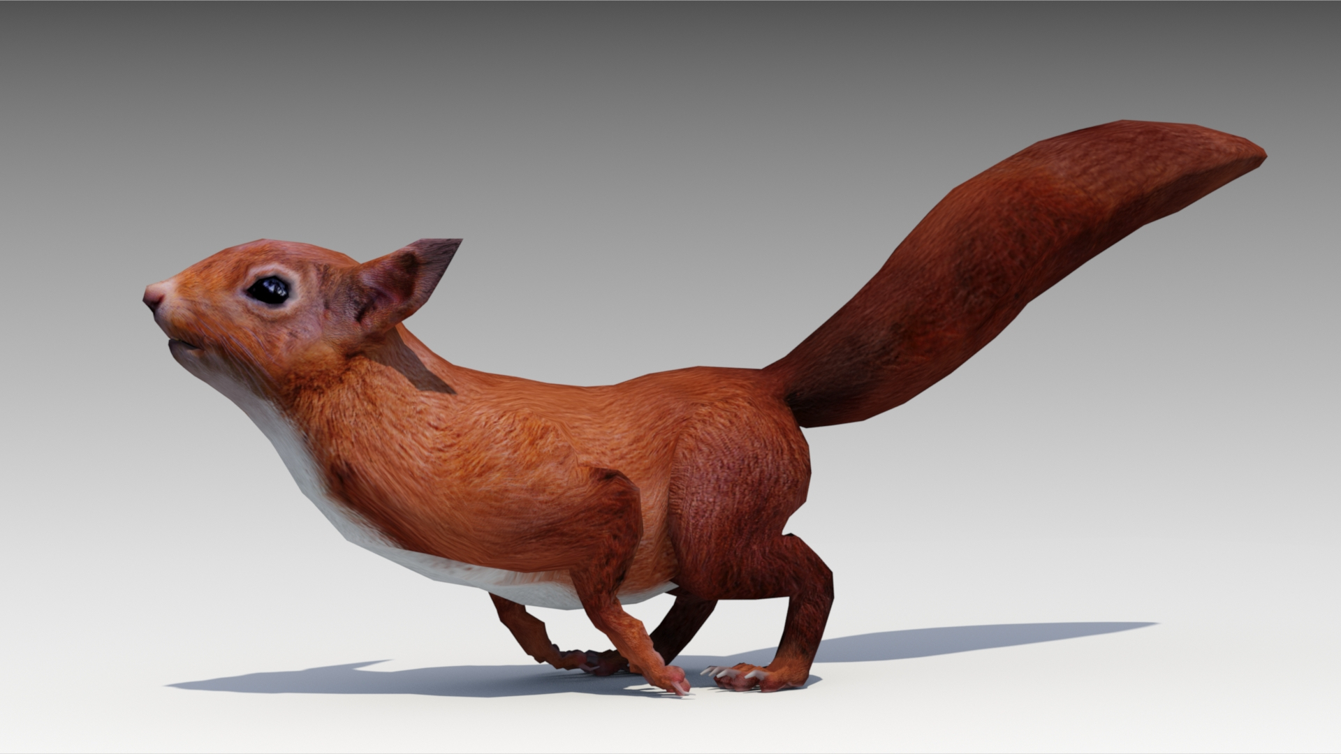 3D squirrel model - TurboSquid 1229896