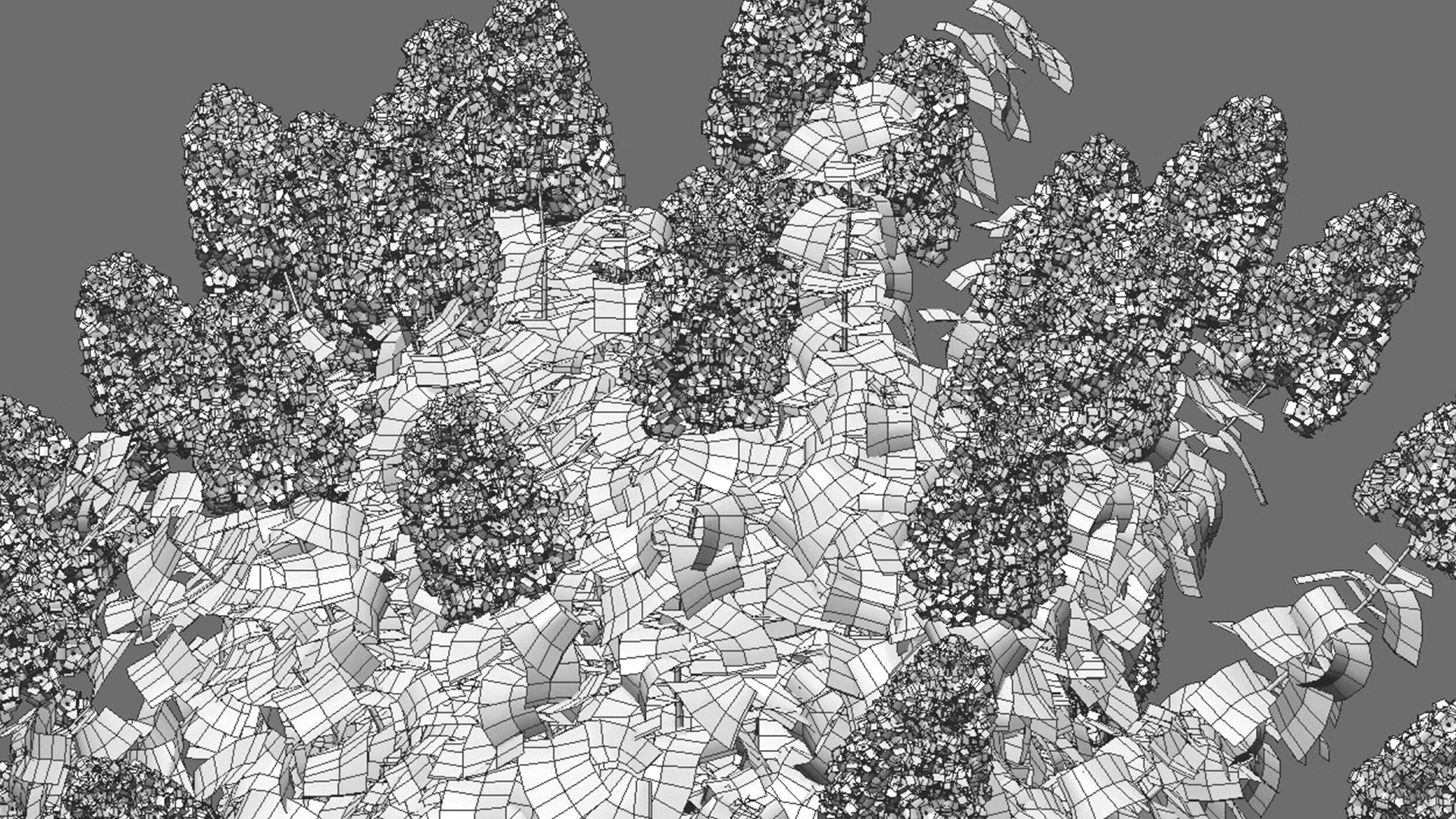 3D Hydrangea 02 Model - TurboSquid 1787857