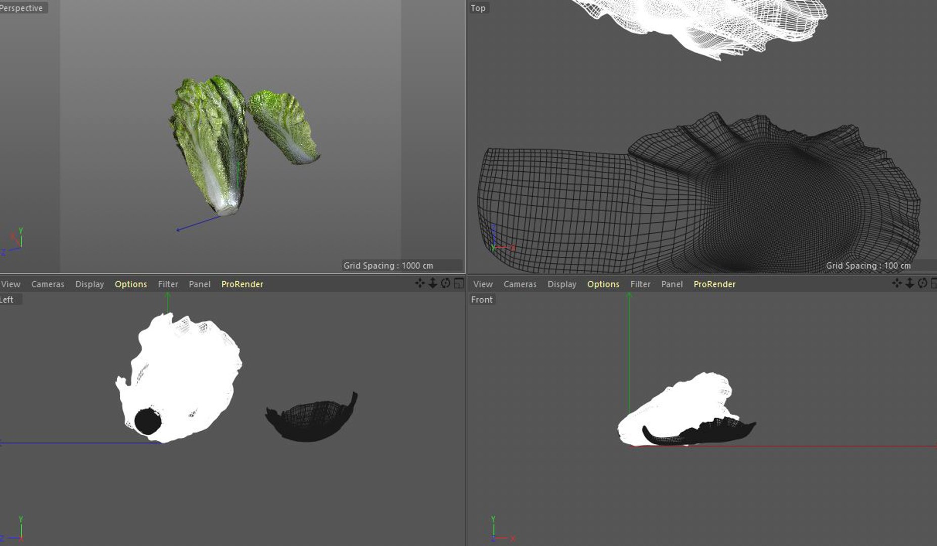 3D Lettuce Model - TurboSquid 1544540