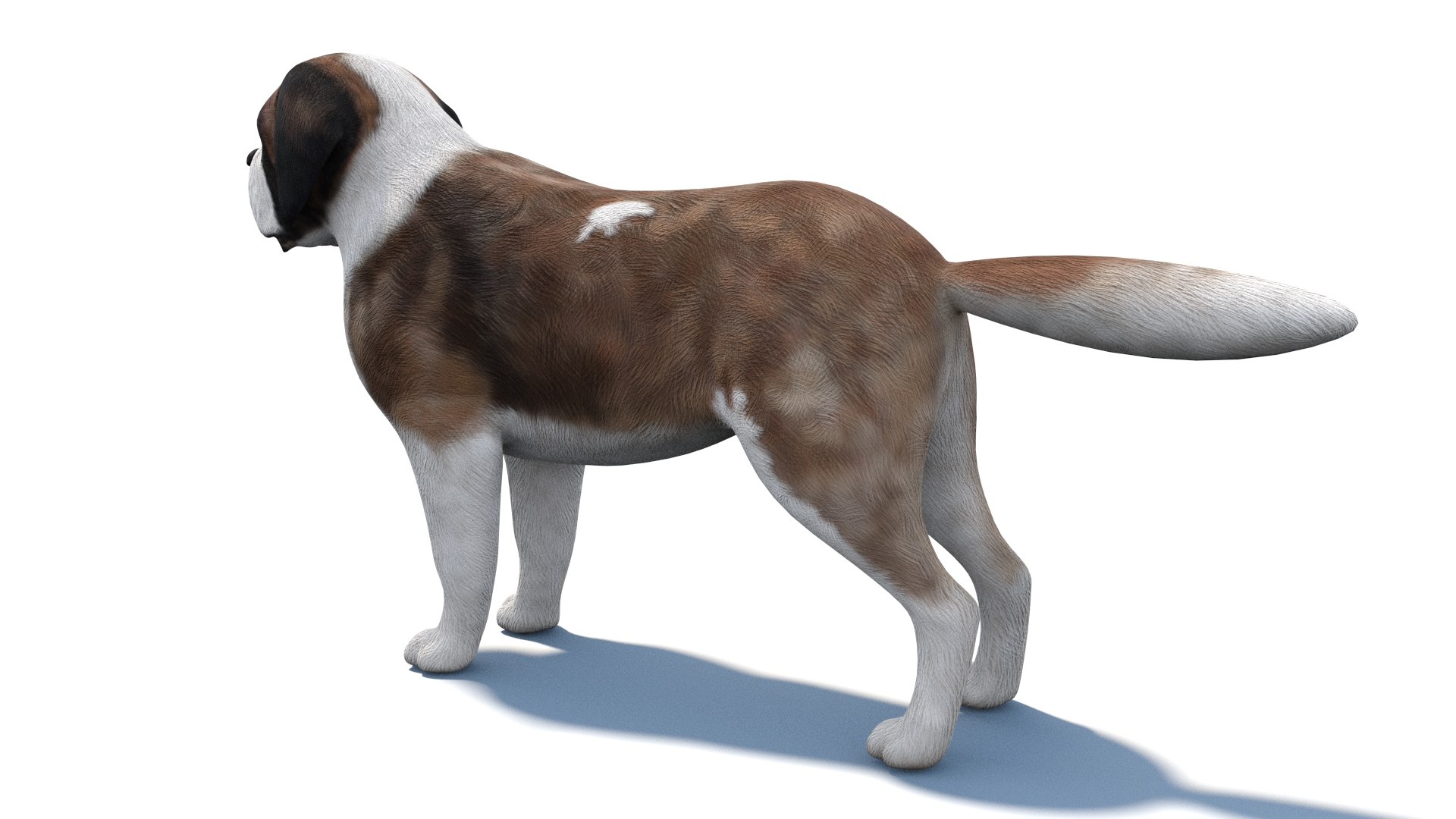 3D Saint Bernard 3D Model Model - TurboSquid 2188321