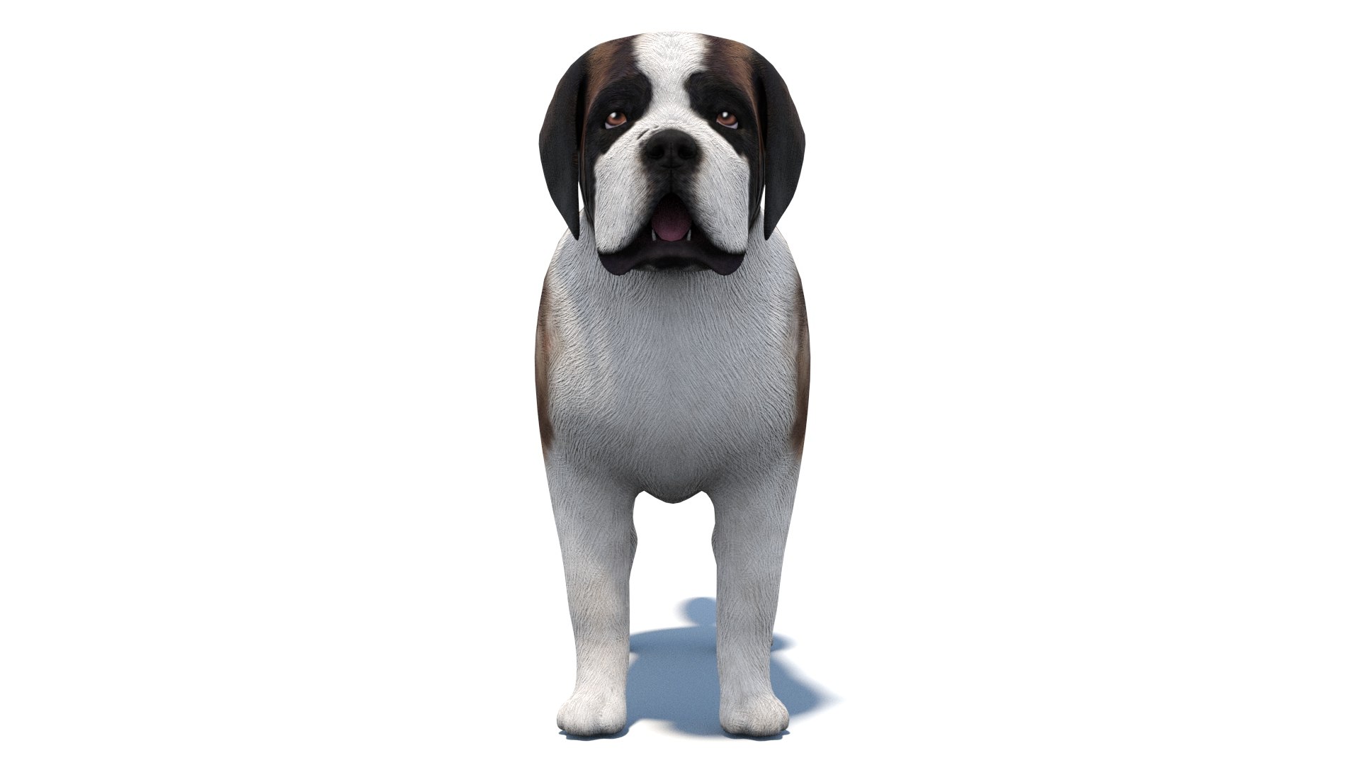 3D Saint Bernard 3D Model Model - TurboSquid 2188321