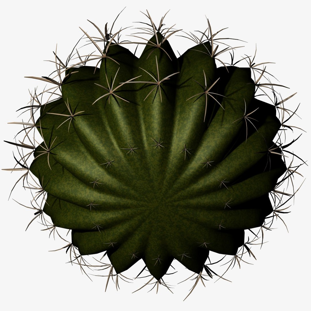 Ball Cactus Obj