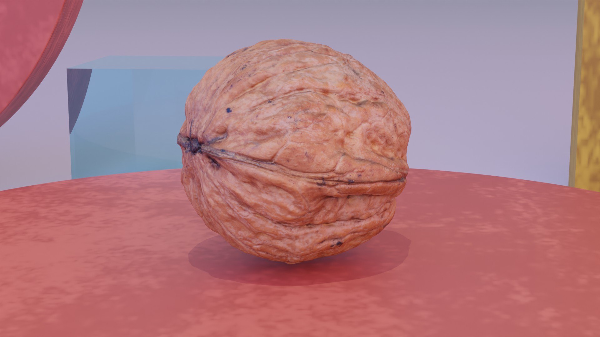 Walnut Fruit 06 High-poly 3D Model 3D Model - TurboSquid 1840302