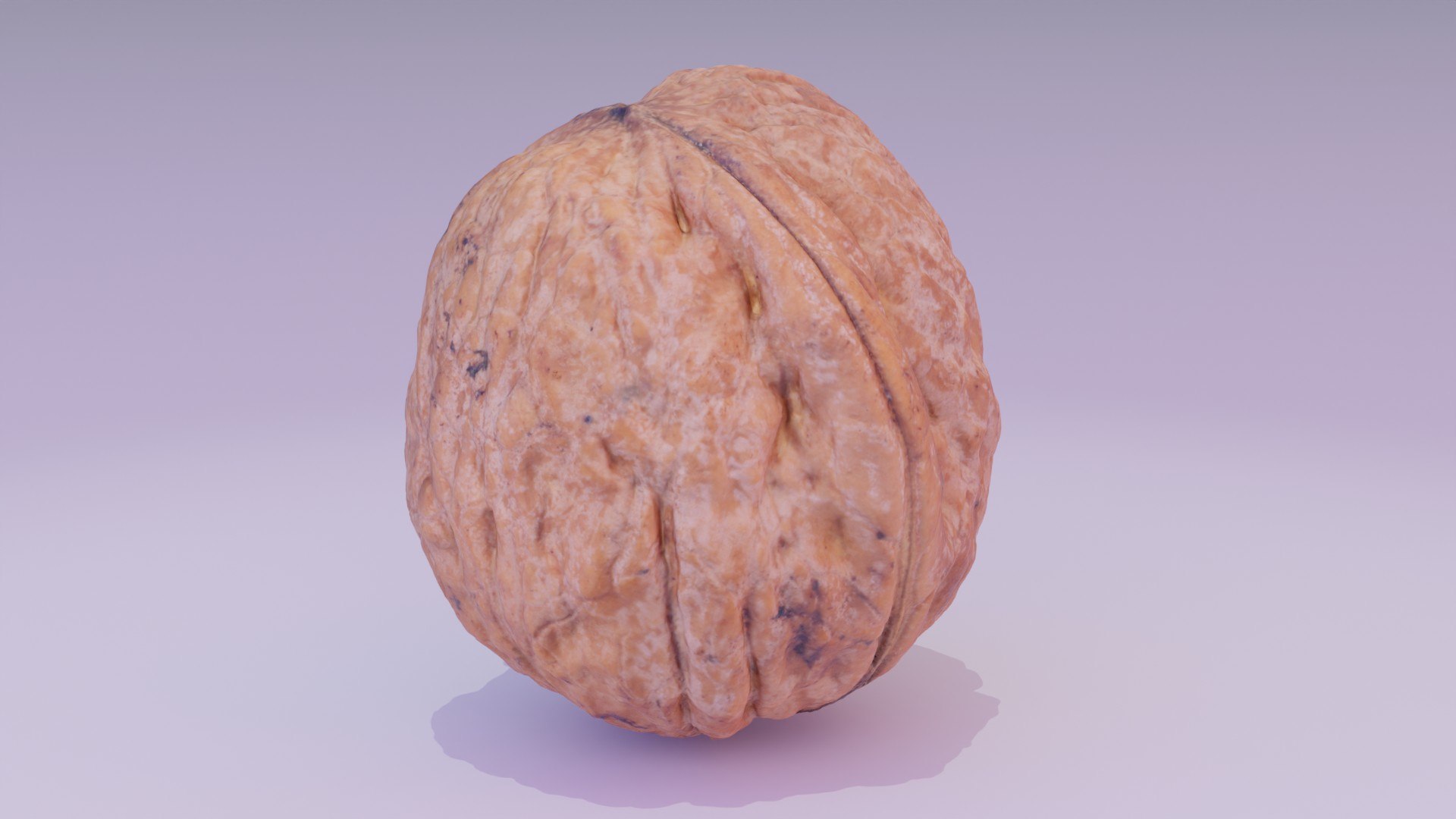 Walnut fruit 06 high-poly 3D model 3D model - TurboSquid 1840302