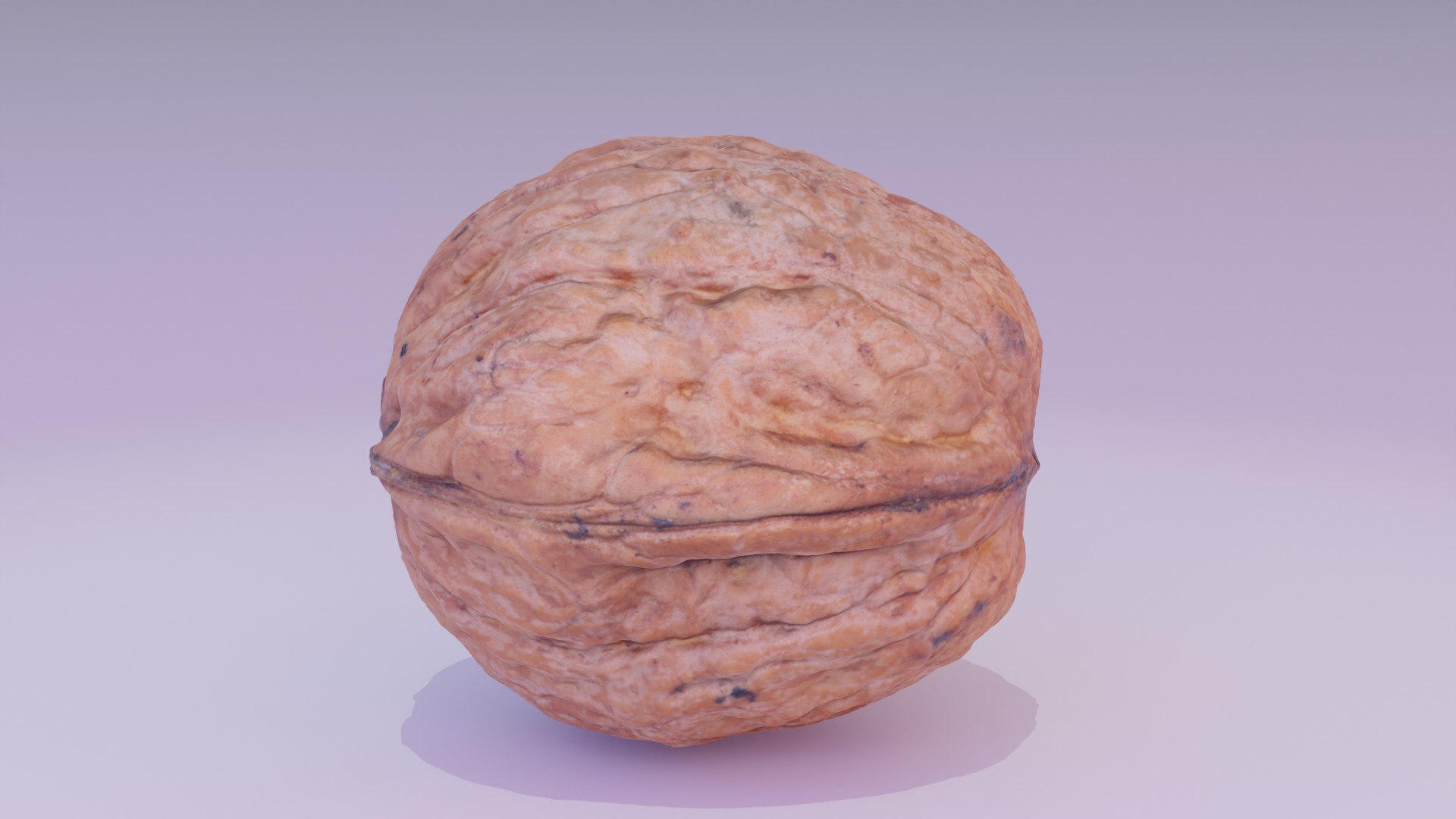 Walnut Fruit 06 High-poly 3D Model 3D Model - TurboSquid 1840302