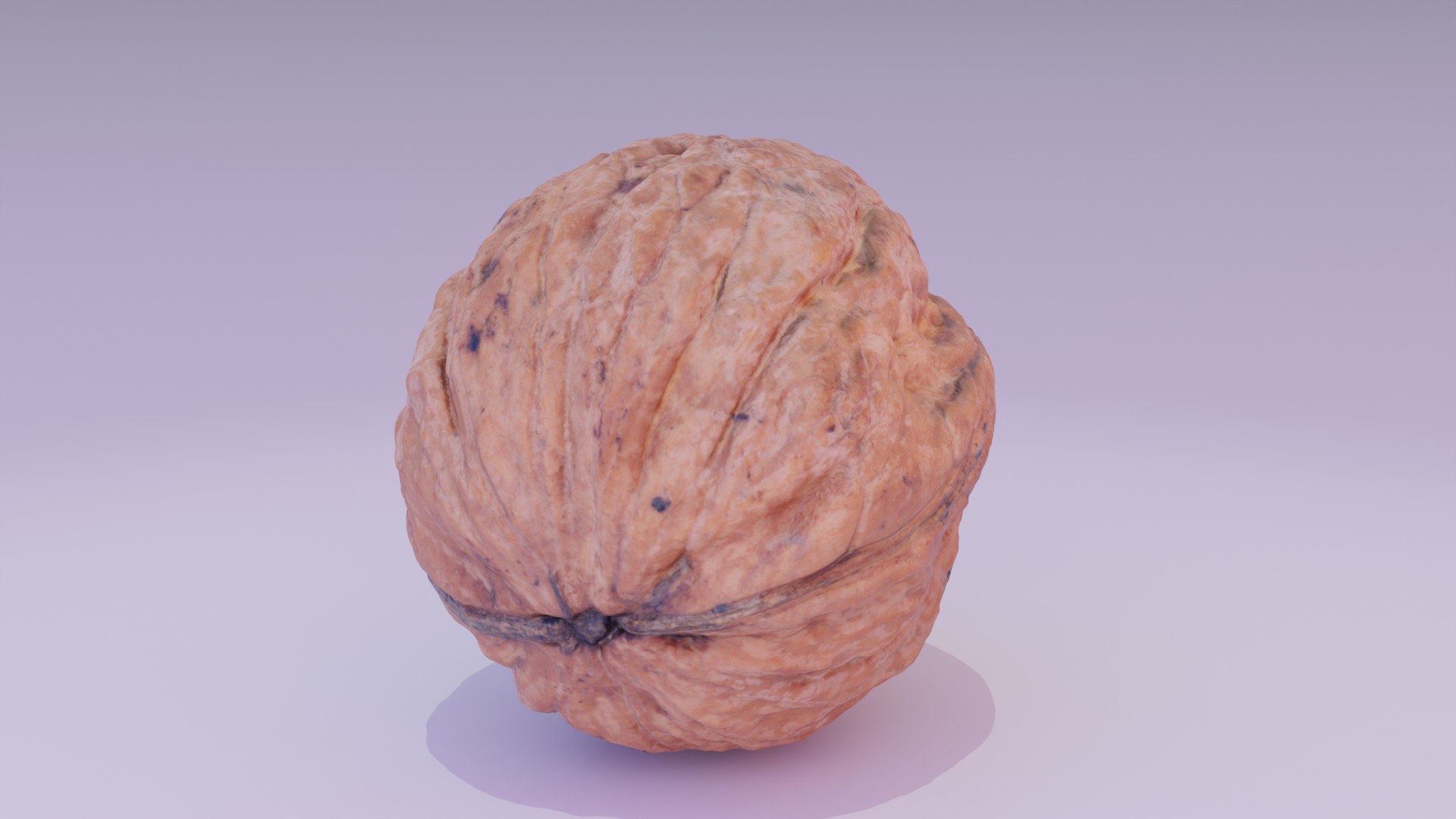 Walnut Fruit 06 High-poly 3D Model 3D Model - TurboSquid 1840302