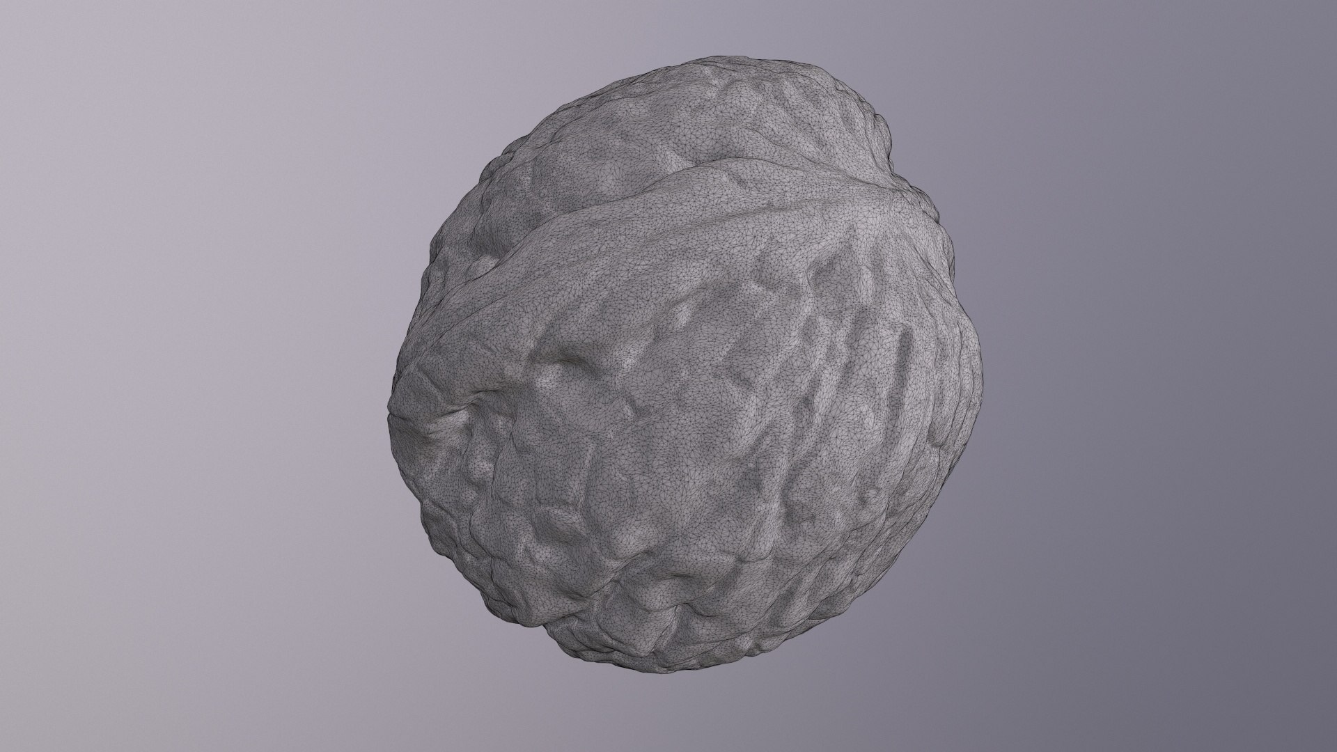 Walnut fruit 06 high-poly 3D model 3D model - TurboSquid 1840302