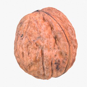 3D Walnut Fruit 02 High-poly 3D Model - TurboSquid 1828260