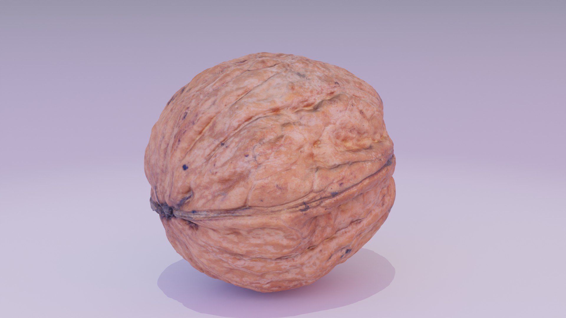 Walnut Fruit 06 High-poly 3D Model 3D Model - TurboSquid 1840302