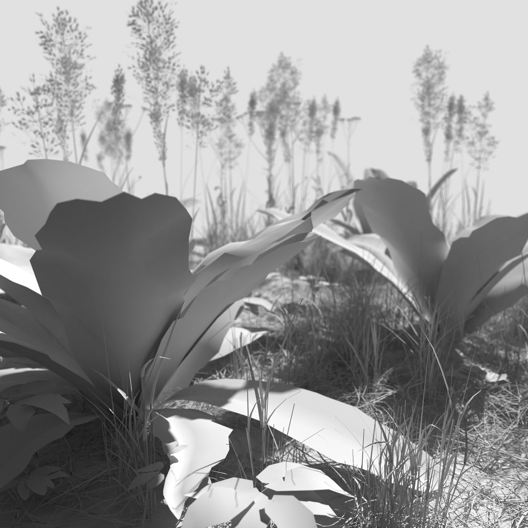 Pbr Fern Meadow Patch Model - TurboSquid 1573880