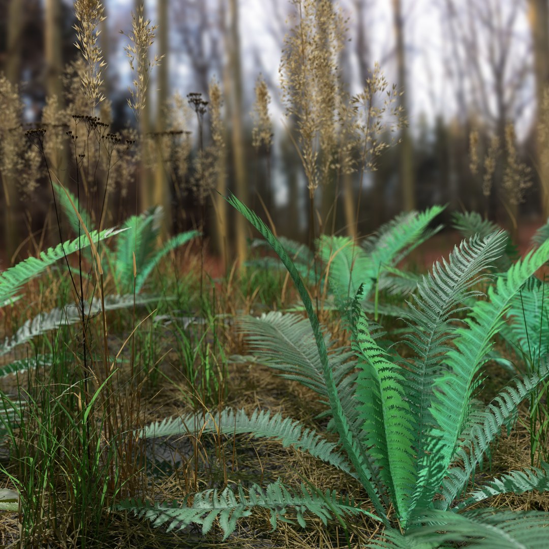 Pbr Fern Meadow Patch Model - TurboSquid 1573880