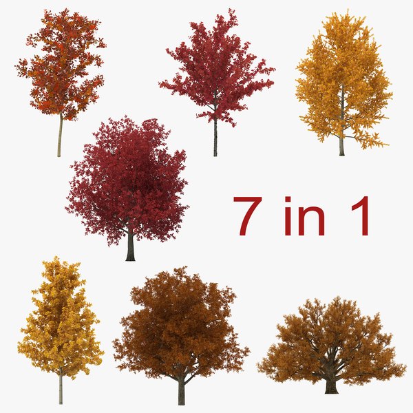 Maple tree 3D model - TurboSquid 1171261