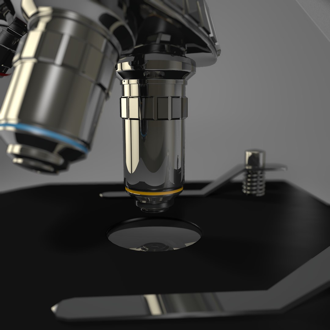 3d Microscope