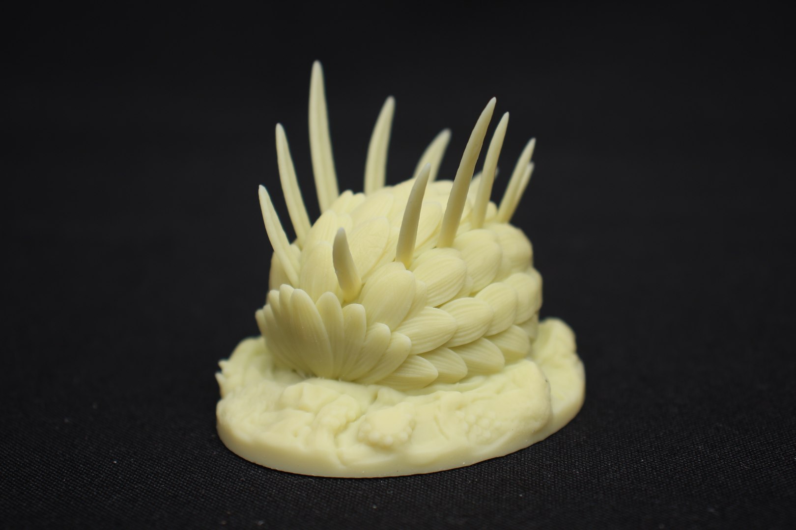 Wiwaxia Corrugata 3D Model - TurboSquid 1867134