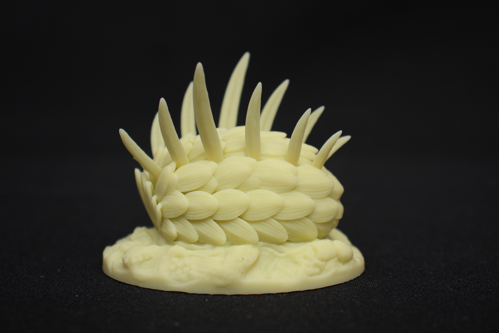 Wiwaxia corrugata Modelo 3D - TurboSquid 1867134