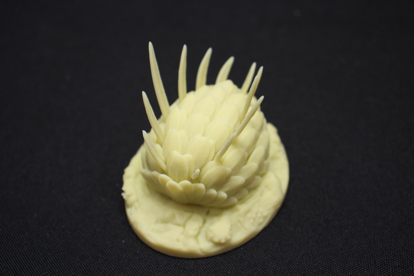 Wiwaxia Corrugata 3D Model - TurboSquid 1867134