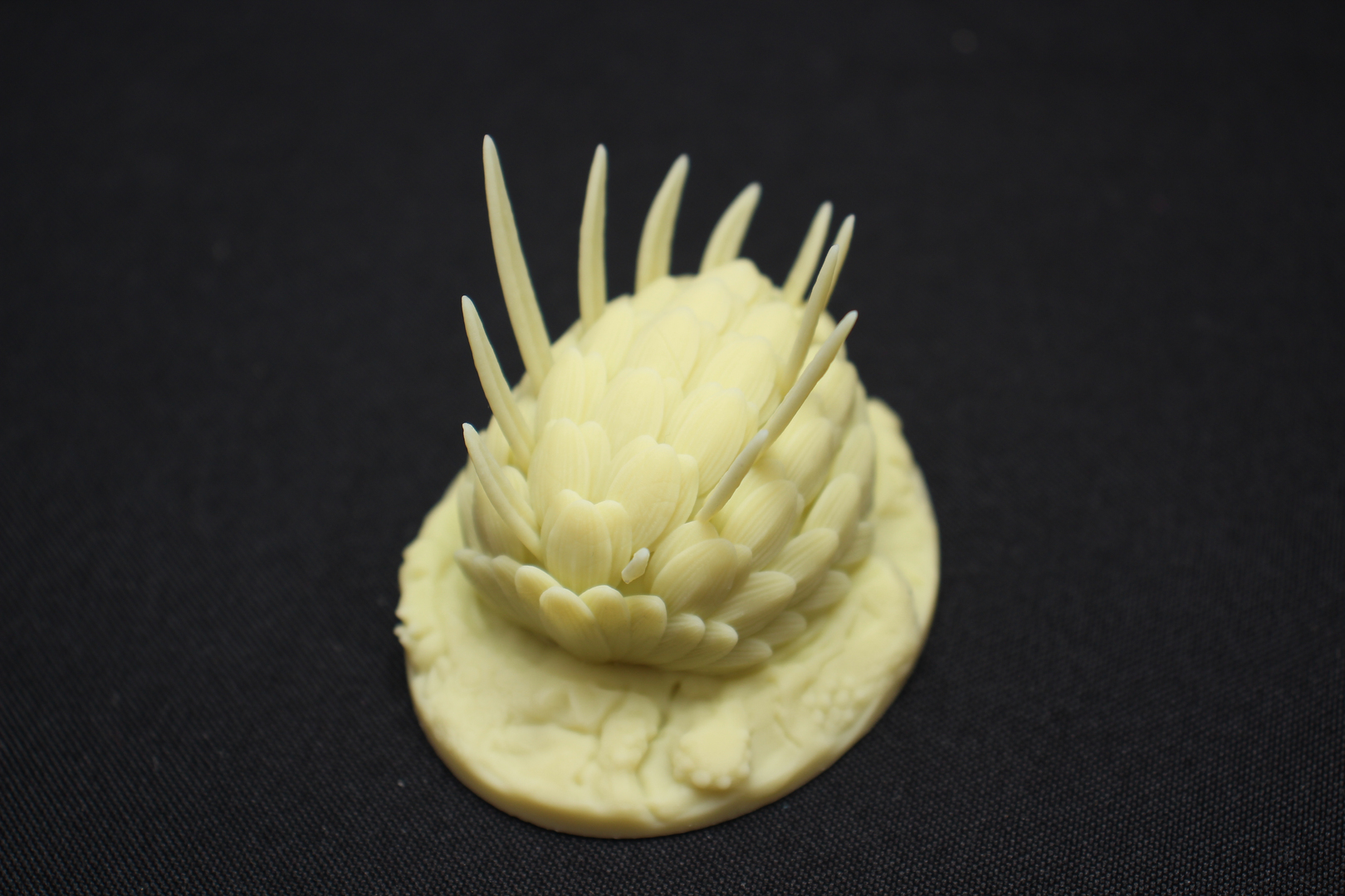 Wiwaxia corrugata Modelo 3D - TurboSquid 1867134