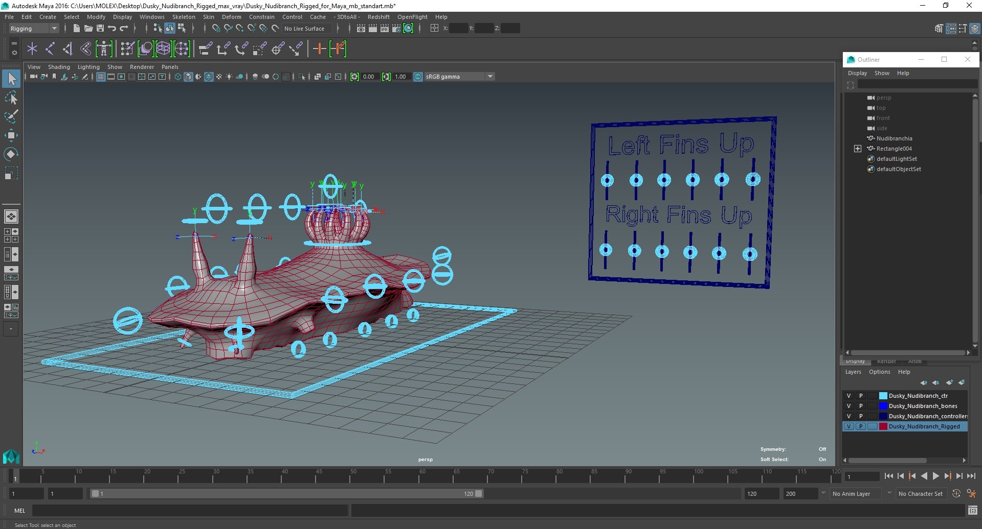 Dusky Nudibranch Rigged For Maya 3D Model - TurboSquid 2208778
