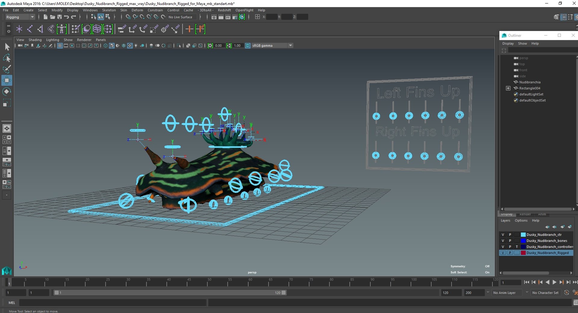 Dusky Nudibranch Rigged For Maya 3D Model - TurboSquid 2208778