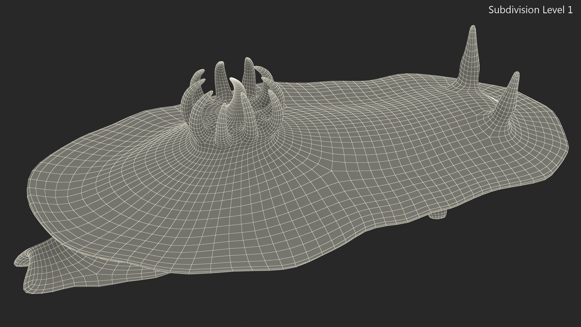 Dusky Nudibranch Rigged For Maya 3D Model - TurboSquid 2208778