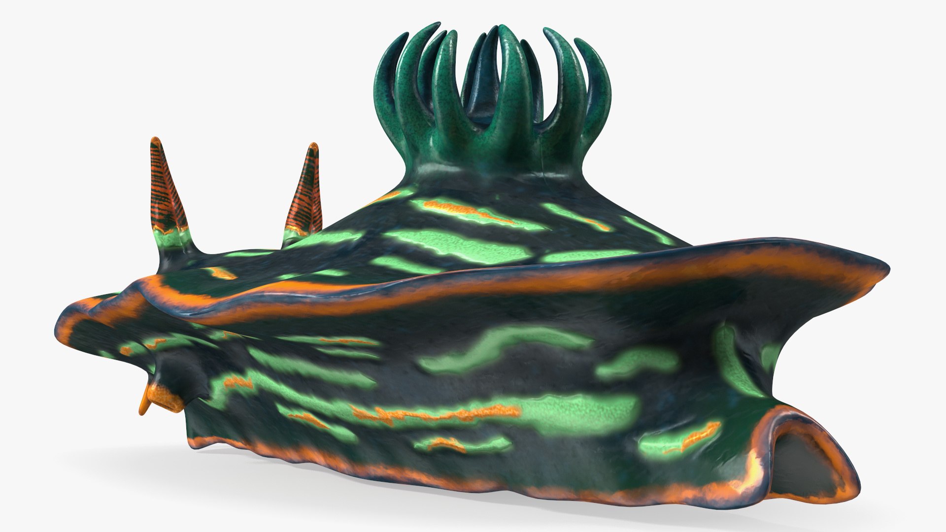 Dusky Nudibranch Rigged For Maya 3D Model - TurboSquid 2208778