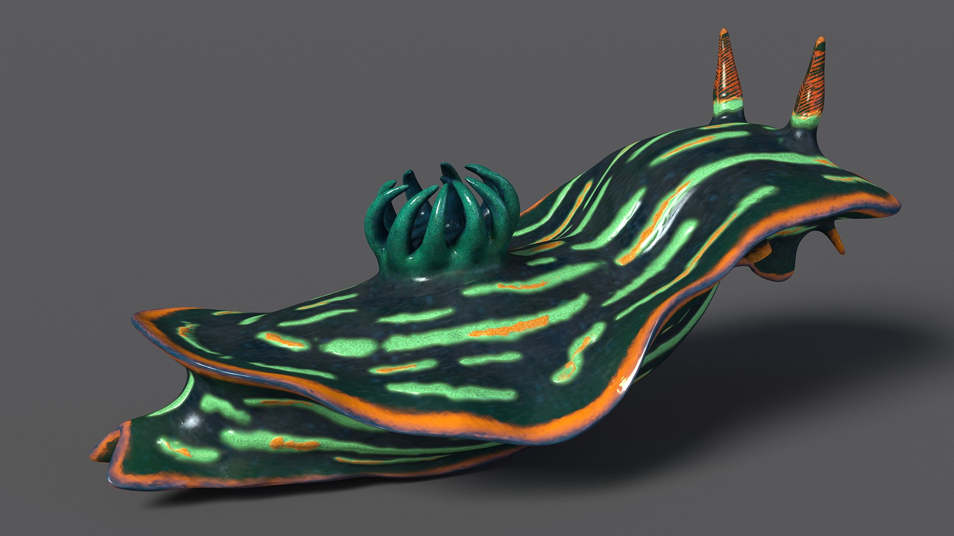 Dusky Nudibranch Rigged For Maya 3D Model - TurboSquid 2208778