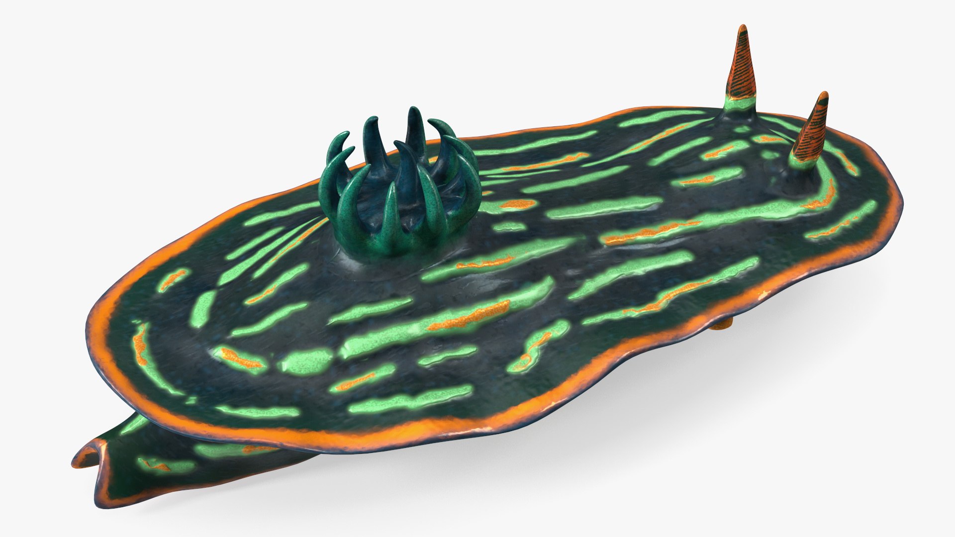 Dusky Nudibranch Rigged For Maya 3D Model - TurboSquid 2208778