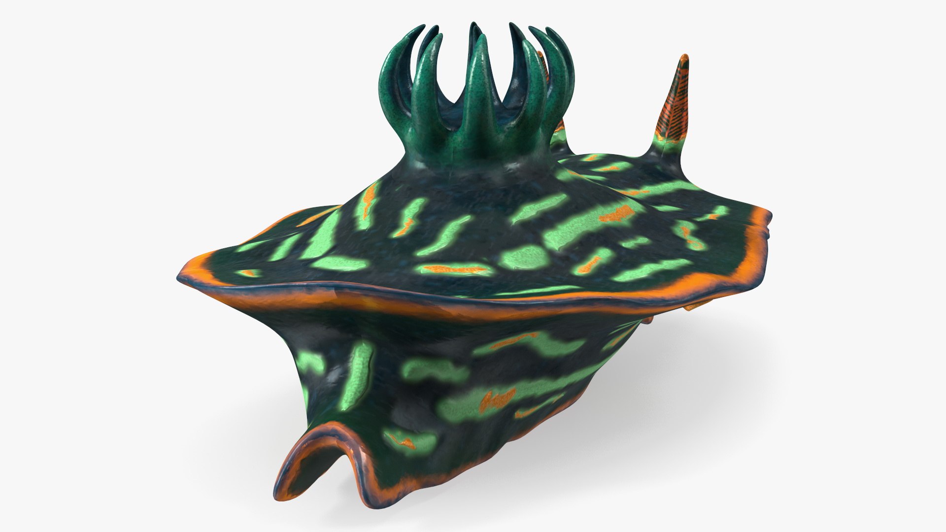 Dusky Nudibranch Rigged For Maya 3D Model - TurboSquid 2208778