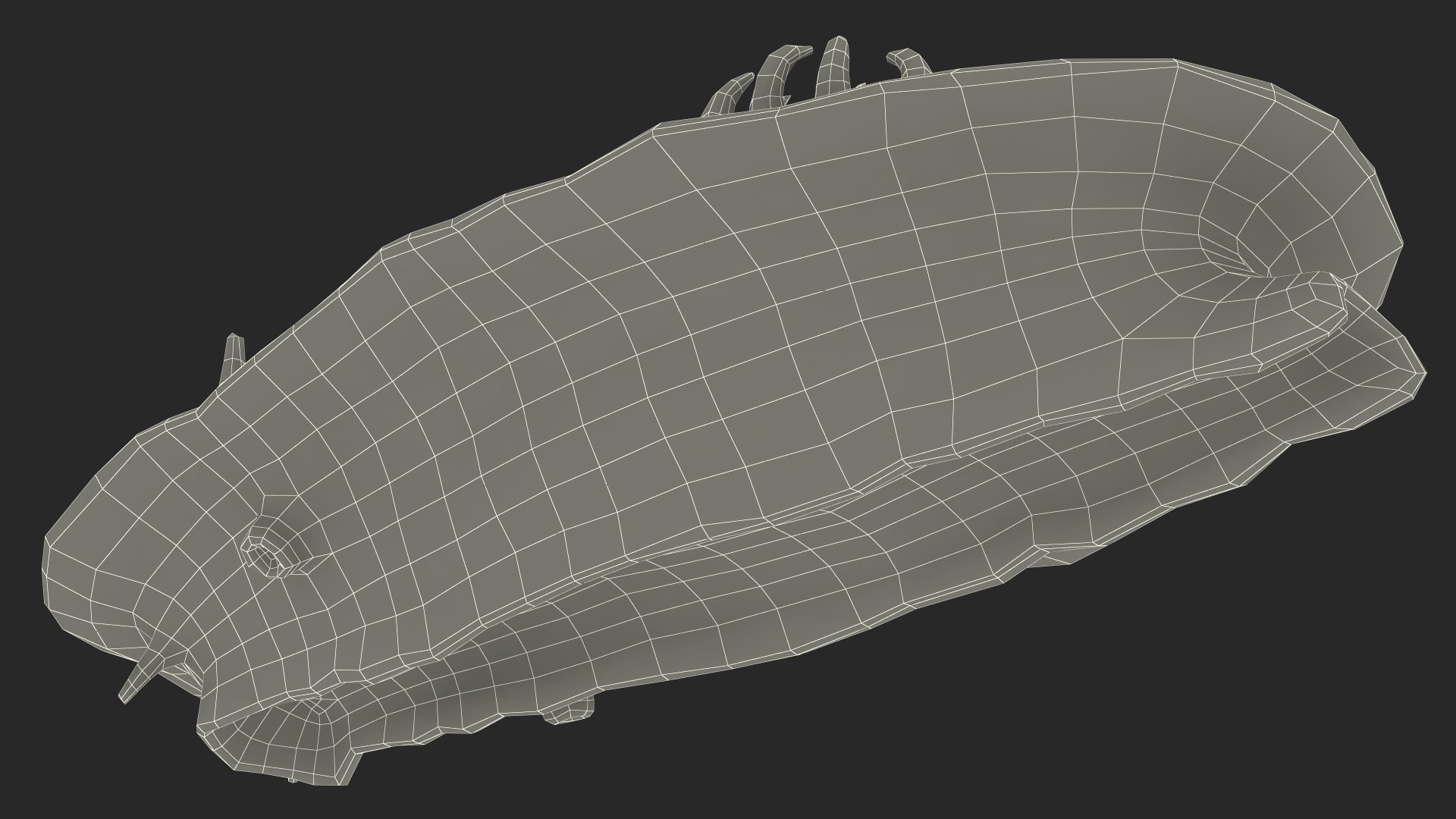Dusky Nudibranch Rigged For Maya 3D Model - TurboSquid 2208778