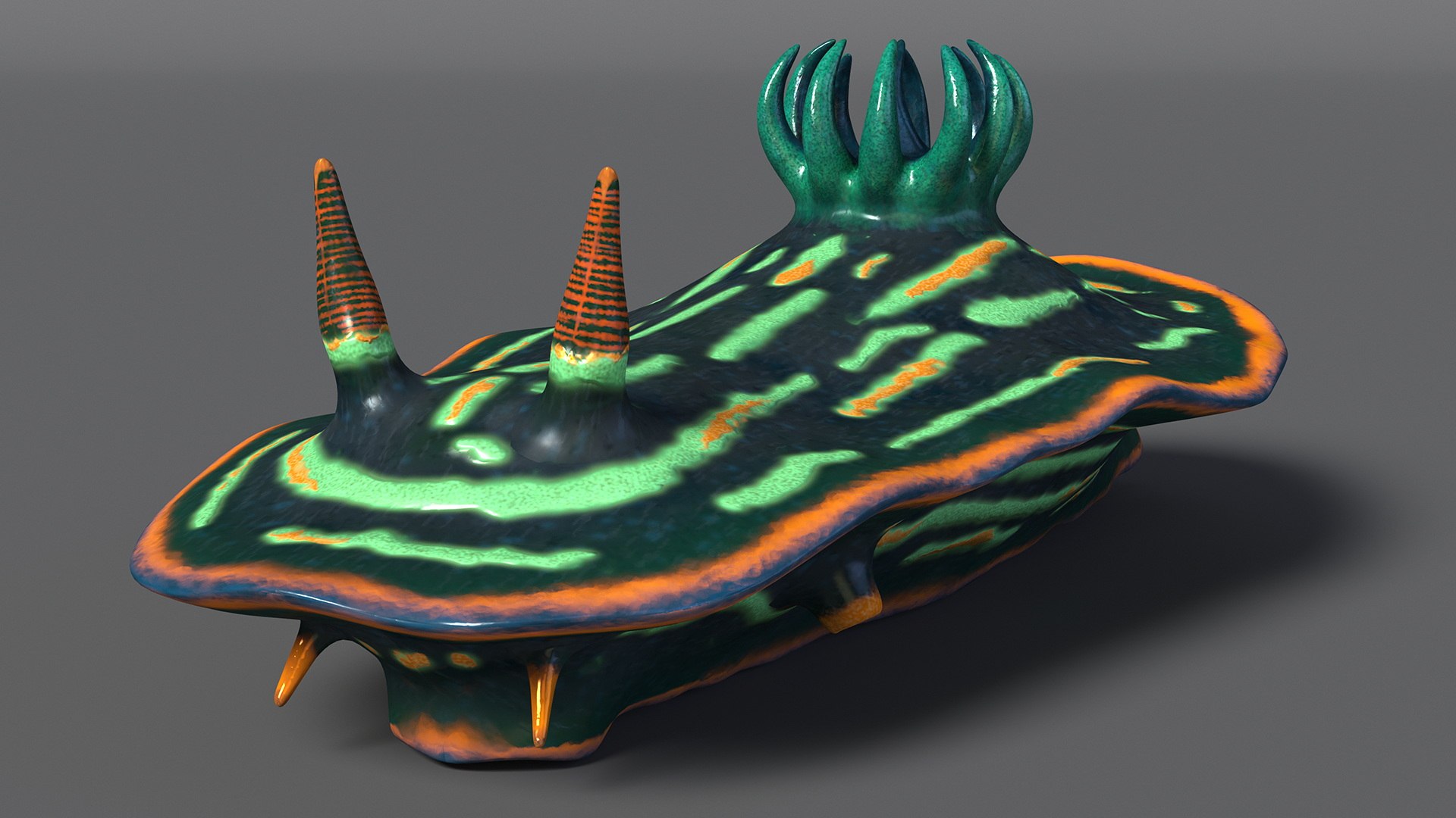 Dusky Nudibranch Rigged For Maya 3D Model - TurboSquid 2208778