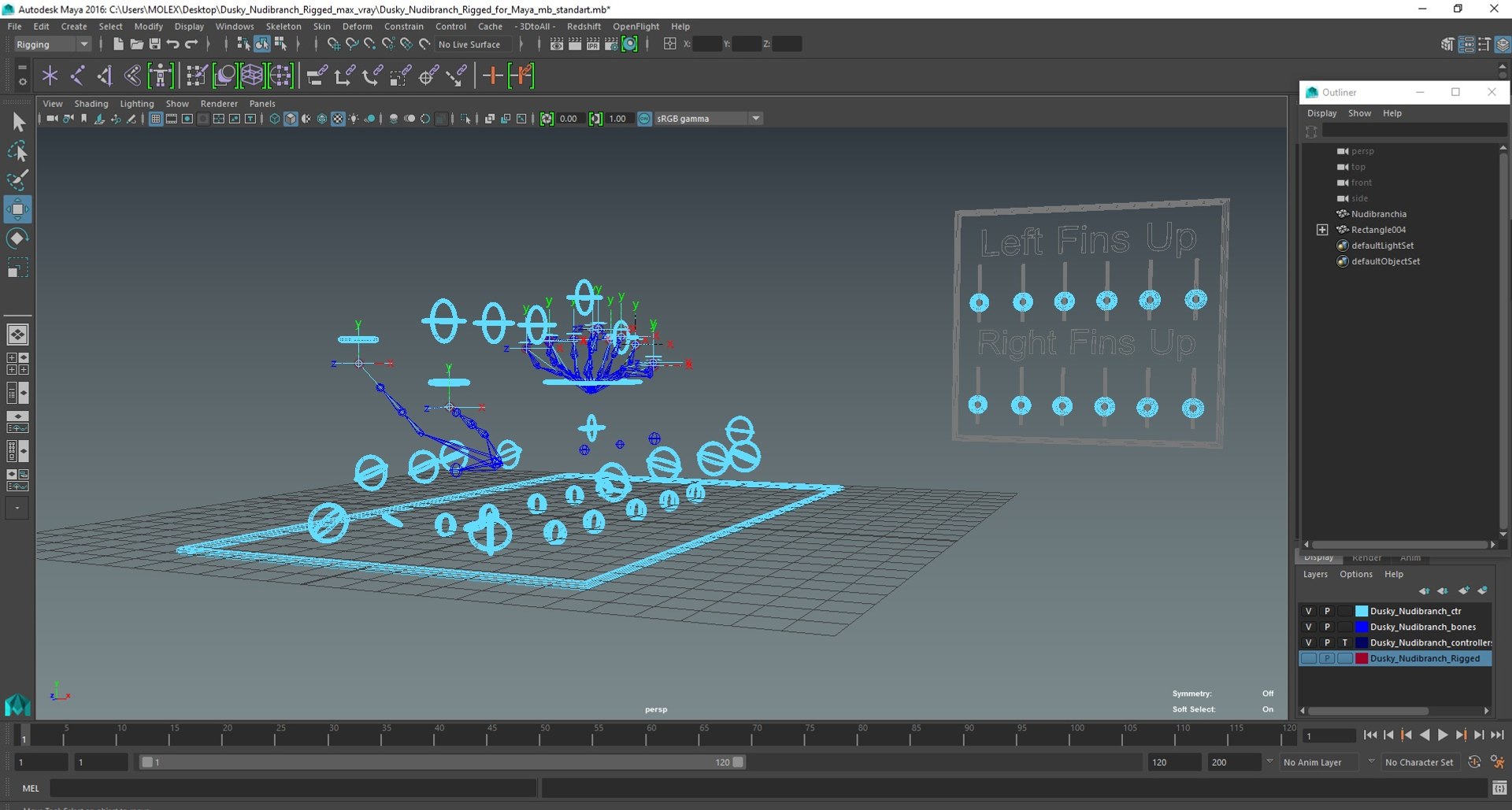 Dusky Nudibranch Rigged For Maya 3D Model - TurboSquid 2208778