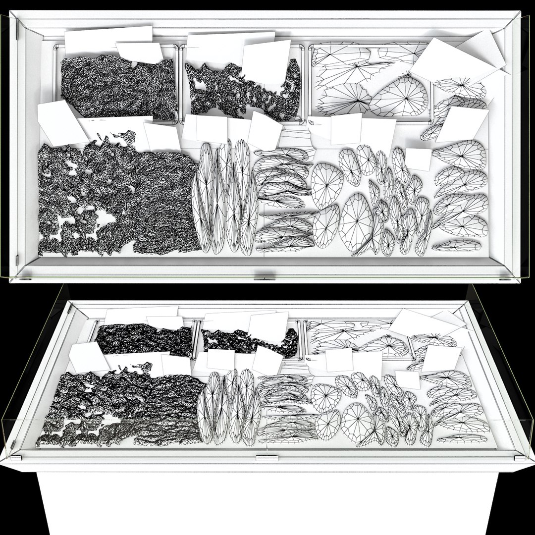 3D Showcase Food Sea Model - TurboSquid 1591267