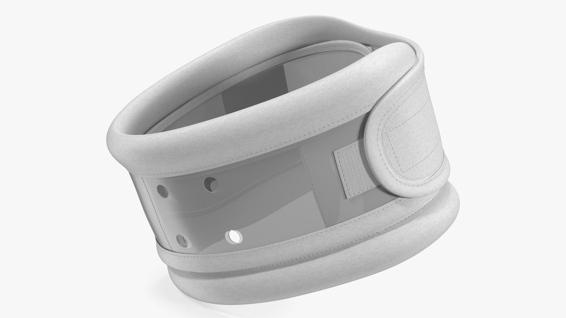 Schanz Collar Model - TurboSquid 2202055