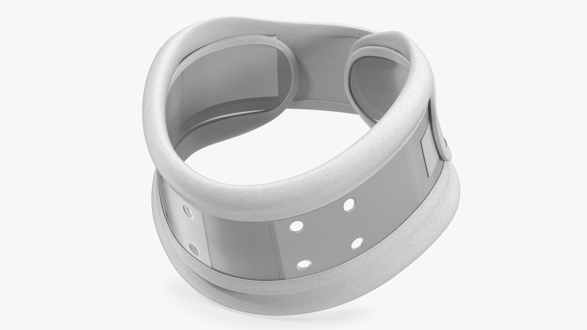 Schanz Collar Model - TurboSquid 2202055