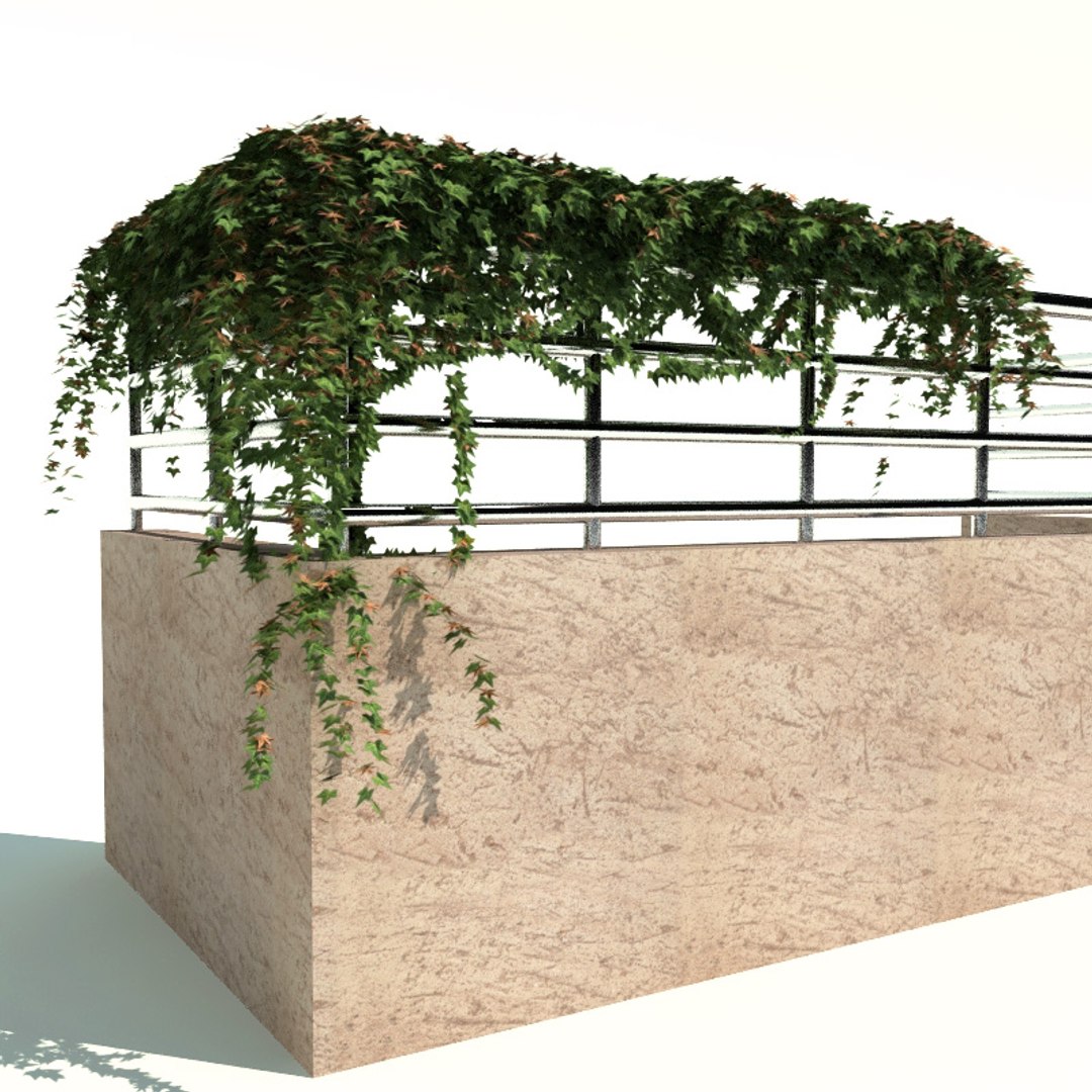 Ivy Modelled 3d Model