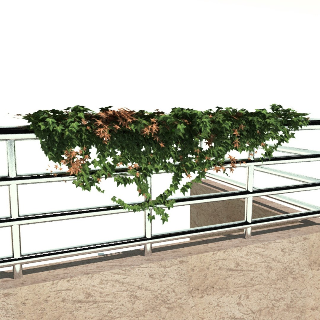 Ivy Modelled 3d Model