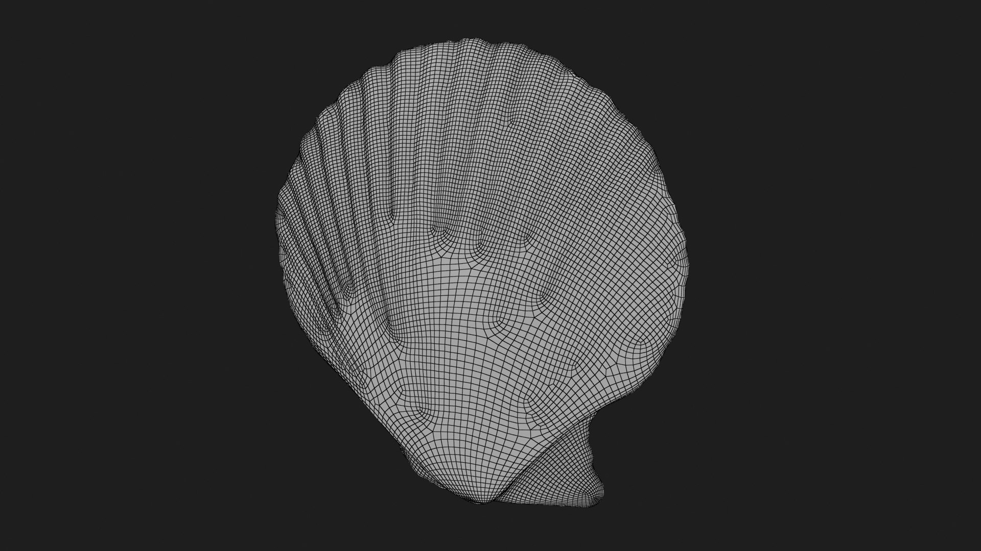 3D model Argopecten Circularis - TurboSquid 2137703
