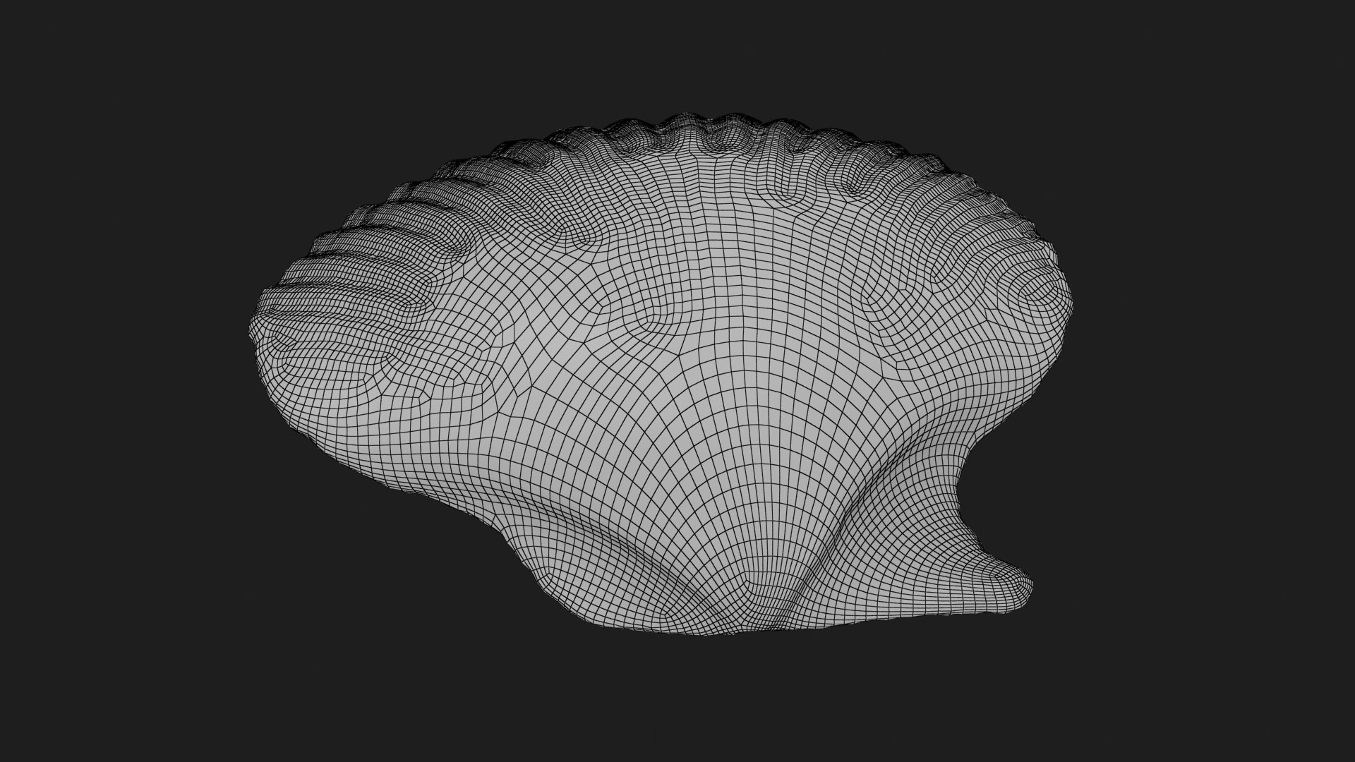3D model Argopecten Circularis - TurboSquid 2137703