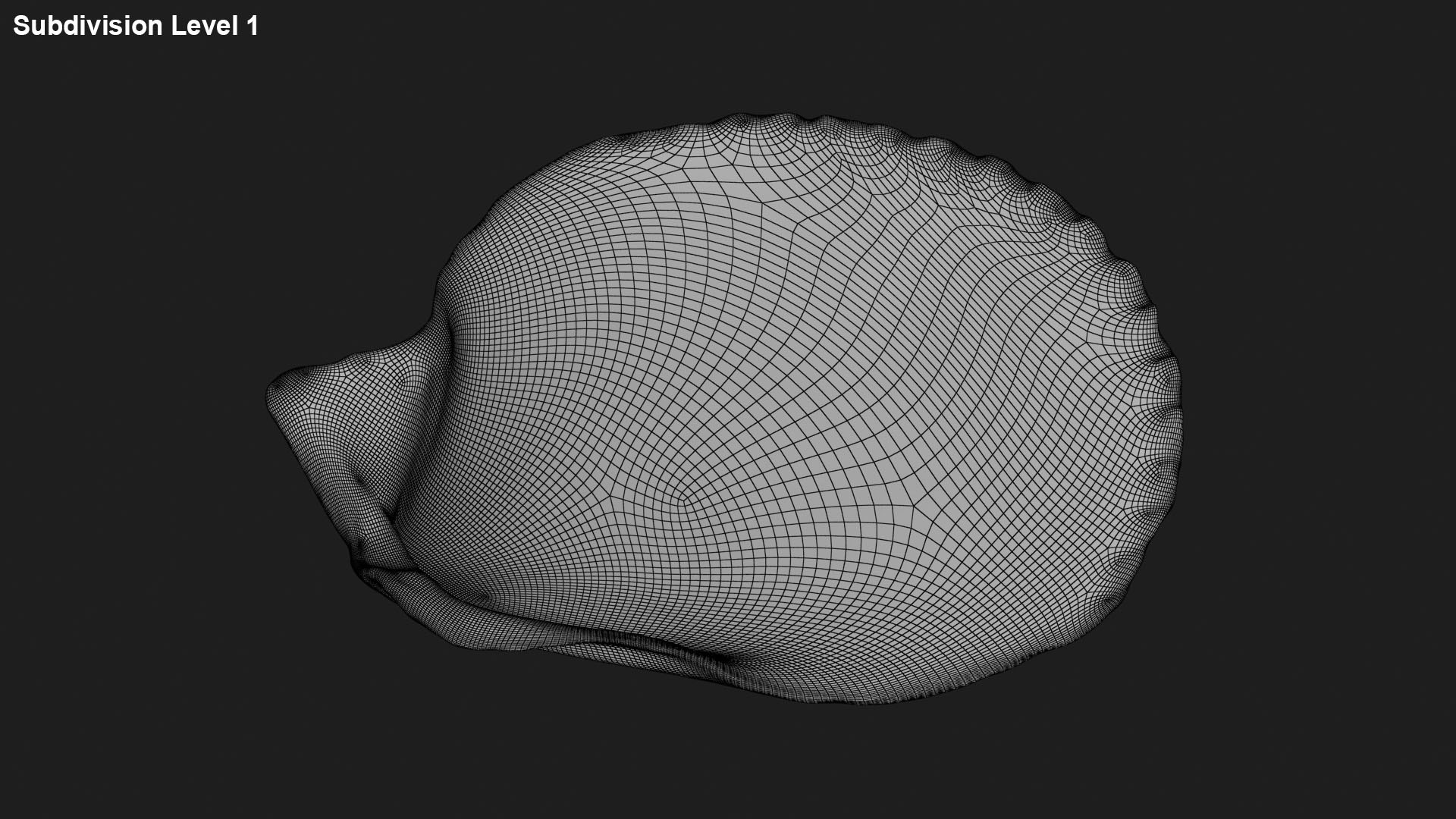 3D Model Argopecten Circularis - TurboSquid 2137703