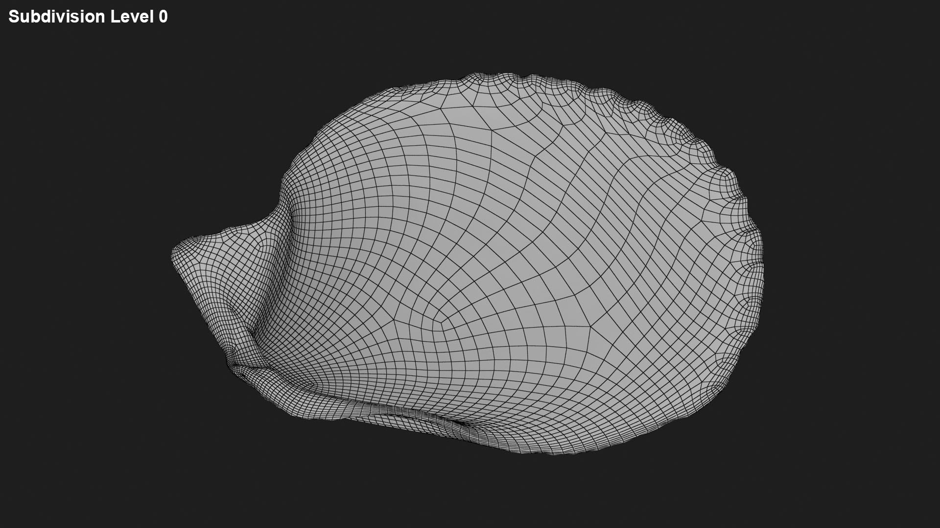 3D Model Argopecten Circularis - TurboSquid 2137703